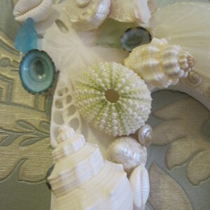 Beach Decor Seashell Letter "d" - Soft Tropical Colored Shell Letter ...