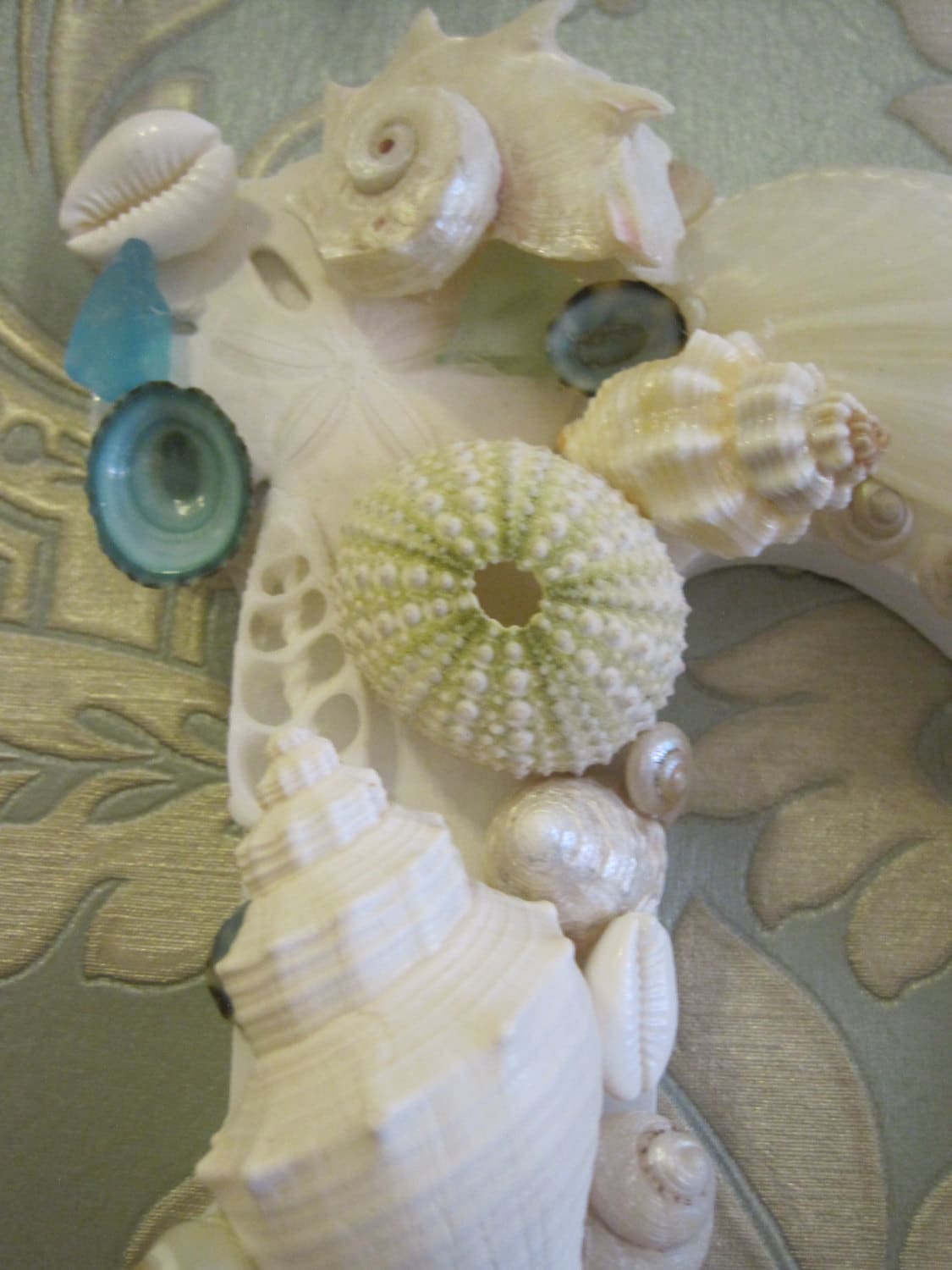 Beach Decor Seashell Letter d Soft Tropical - Etsy