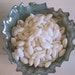 Beach Decor White Bubble Shells (15) - Bubble Shell - Seashell Supply ...