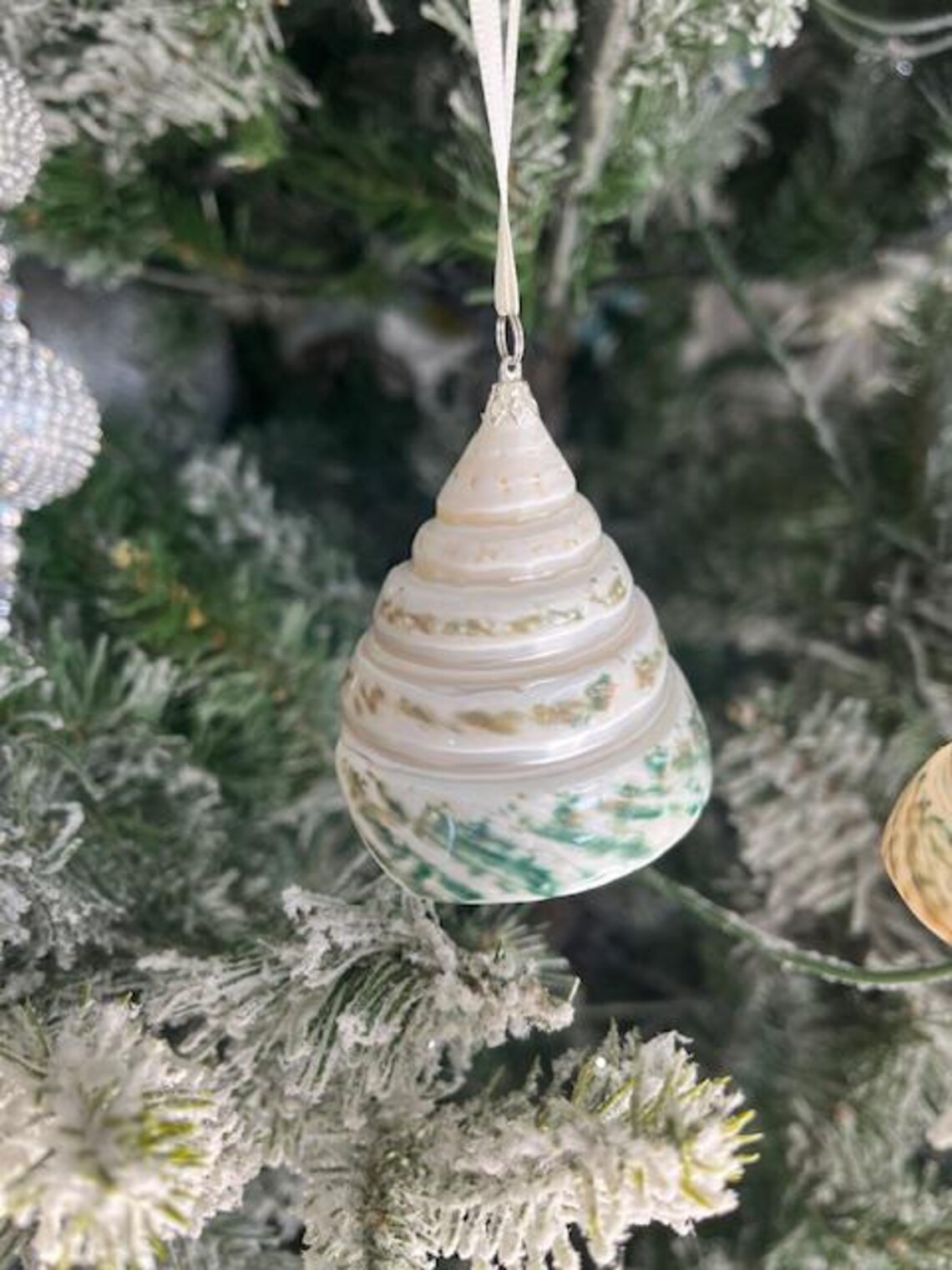 Beach Christmas Real Shell Ornament - Spiral Green & White Trocha ...