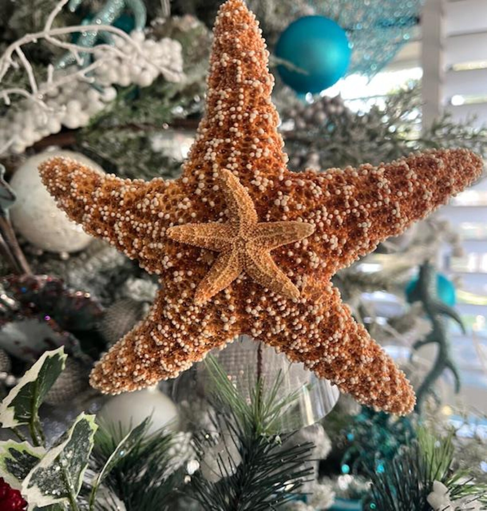 Beach Decor Starfish Tree Topper - Real Sugar Starfish Christmas Tree ...