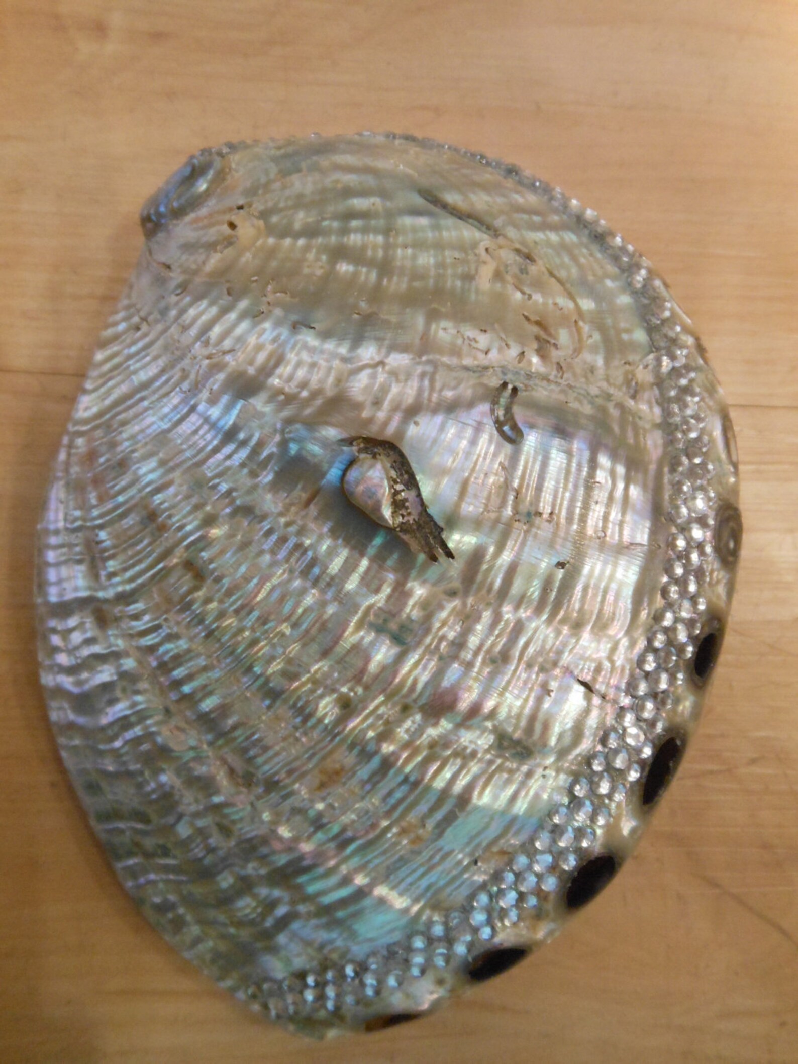 Beach Decor Embellished Abalone Shell Swarovski Crystal - Etsy