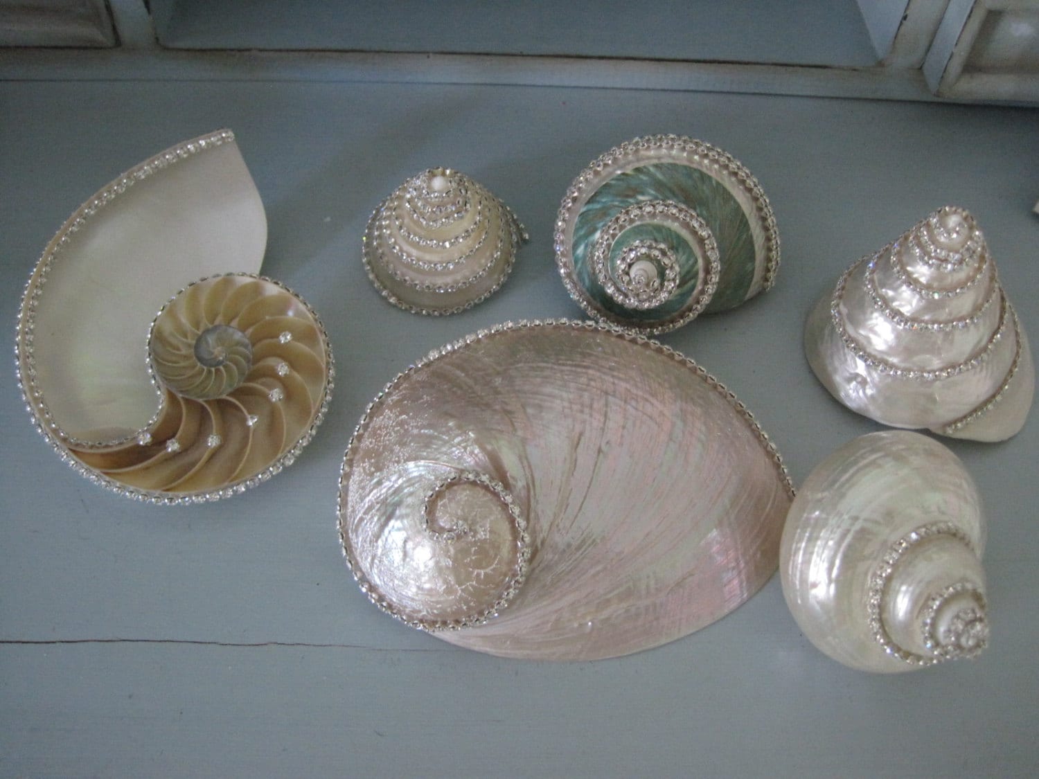 Embellished Polished Green Banded Snail Shell With Swarovski - Etsy ...