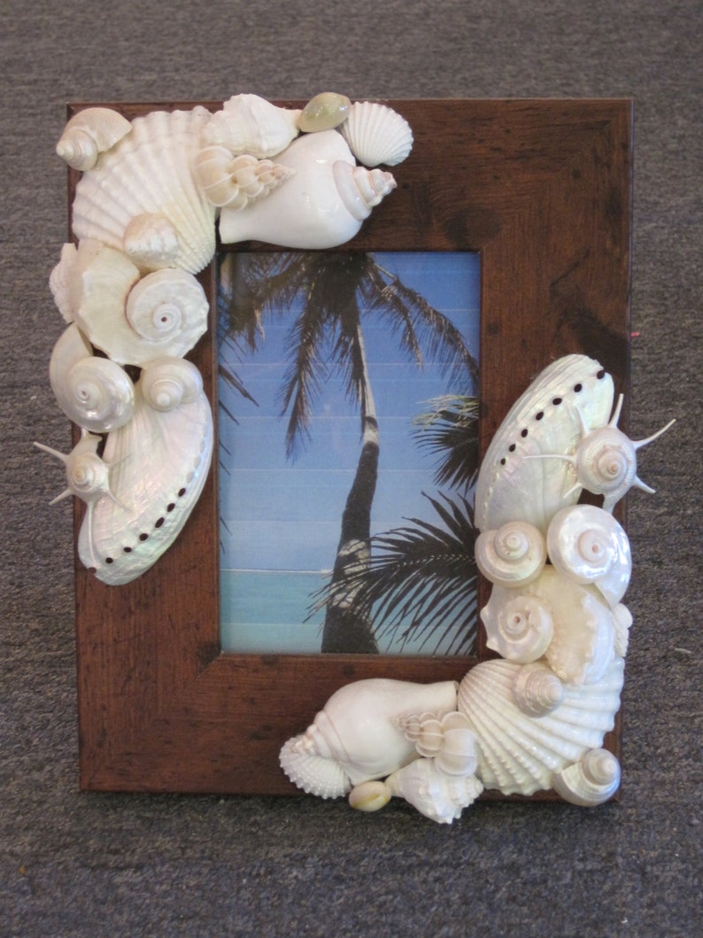 Beach Decor Seashell Picture Frame Shell Frame White Shell - Etsy