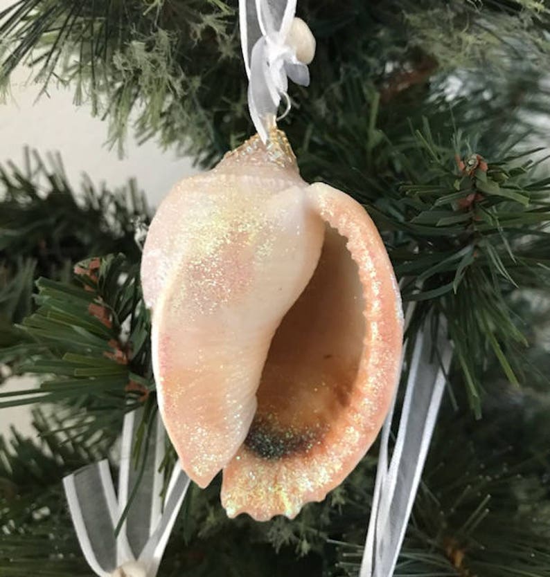 Beach Decor Christmas Seashell Ornament Set 3PC Seashell | Etsy