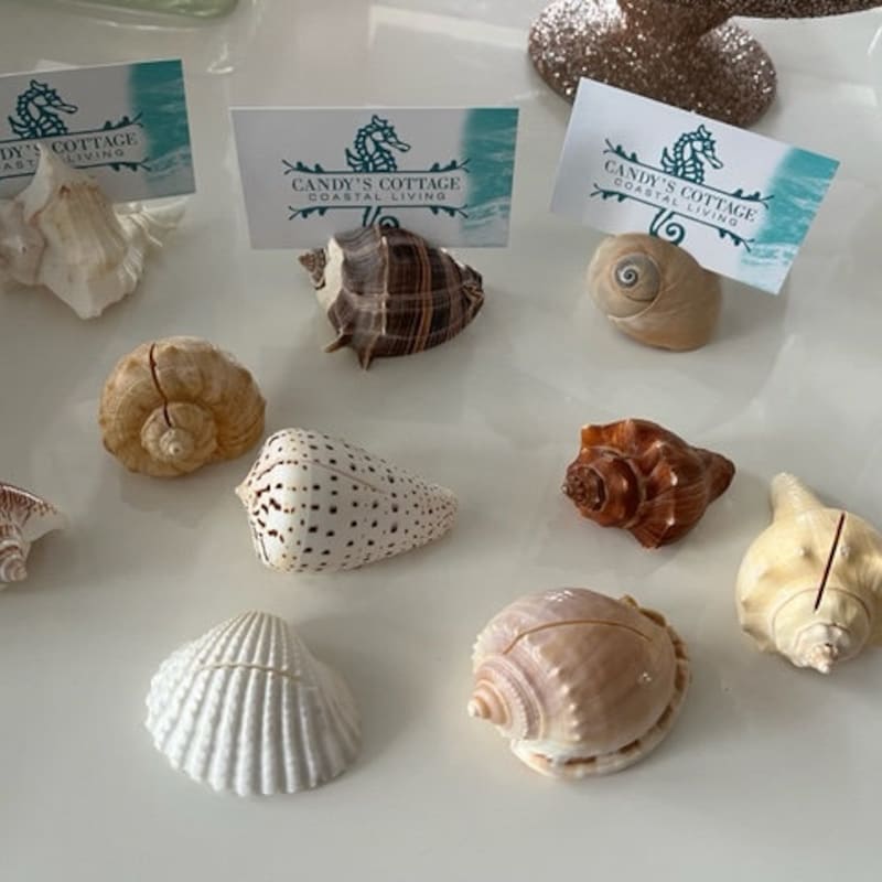 Sea Shell Place Card - Etsy