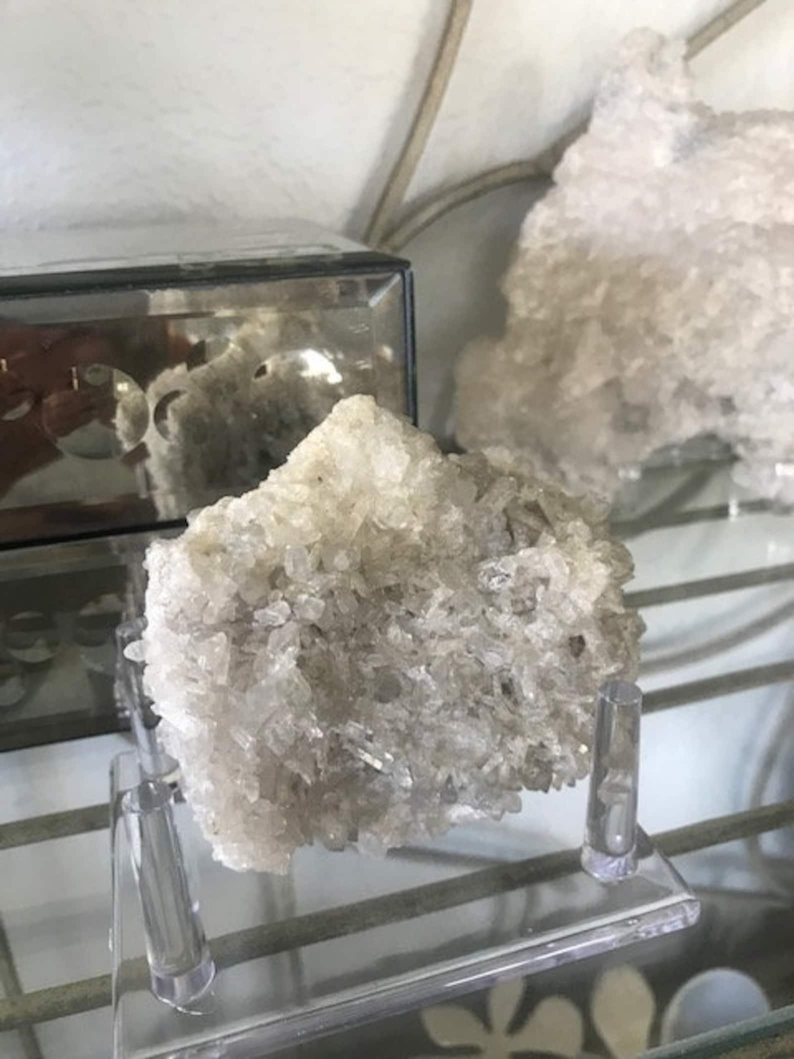 Beach Decor Seashell Stand Large and Small Display Stands | Etsy