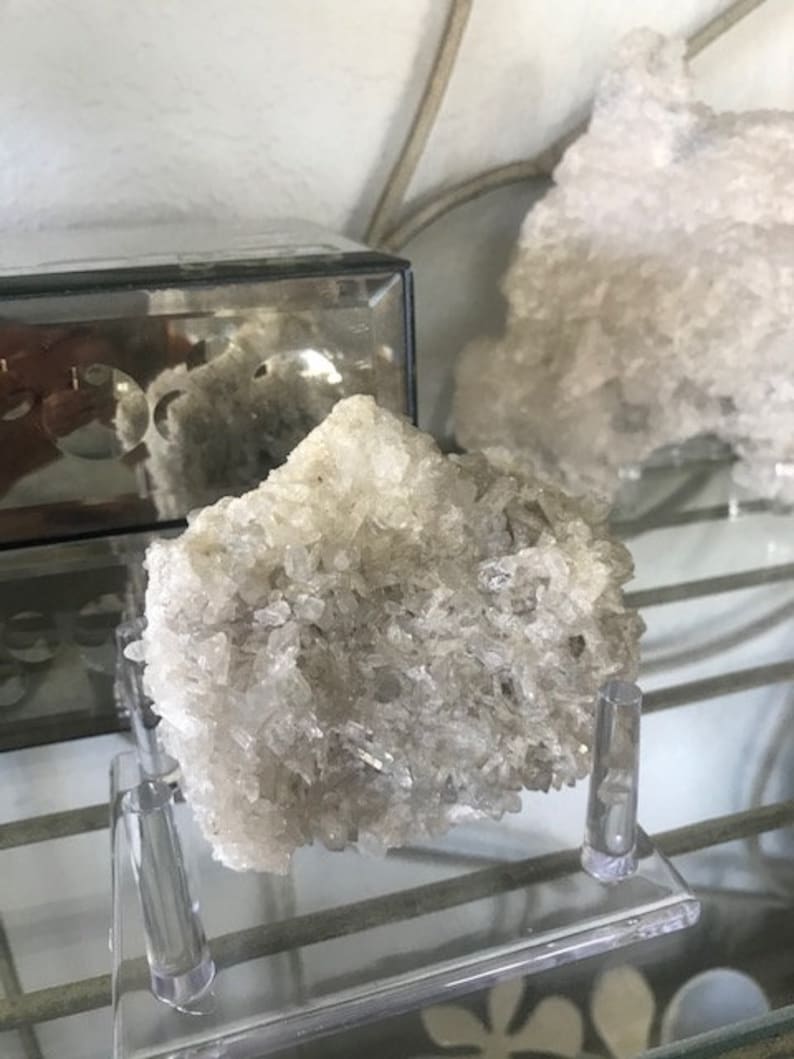 Beach Decor Seashell Stand Large and Small Display Stands | Etsy