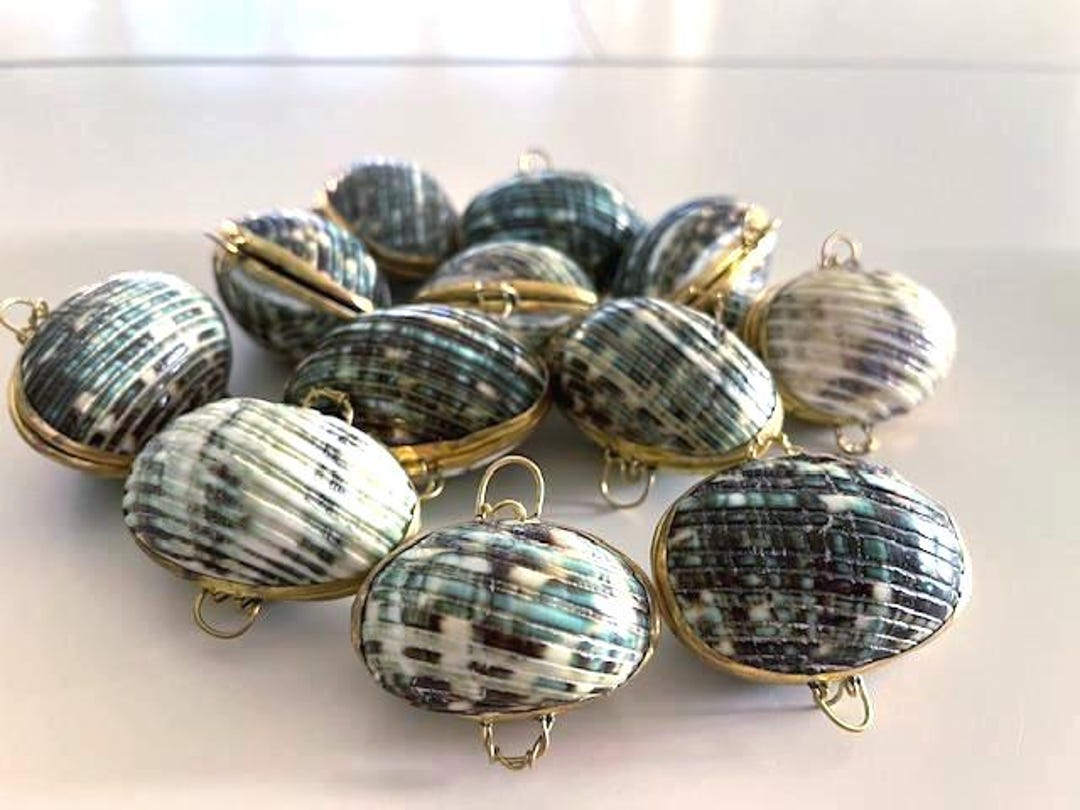 Shell Box - Seashell Ring Box - Green Turbo Pill Box/ring Holder - MOP ...