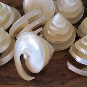 Beach Decor - Pearlized Spiral Cut Trocha Shells (2) - Trocha Shell ...