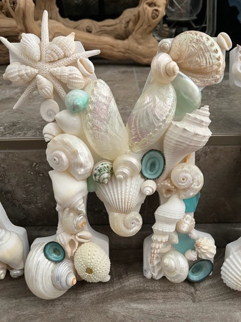 Beach Decor "family" Shell Letters - Soft Tropical Colored Shell ...