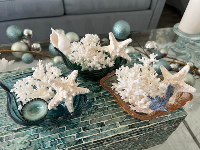 Beach Glass Conch Shell Bowl Centerpieces With Natural Seashells & Real ...