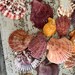 Imperfect Pectin Scallop Shells 12 PC Seashells Beach Decor Wholesale ...