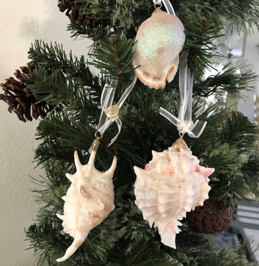 Beach Decor Christmas Seashell Ornament Set 3PC Seashell - Etsy