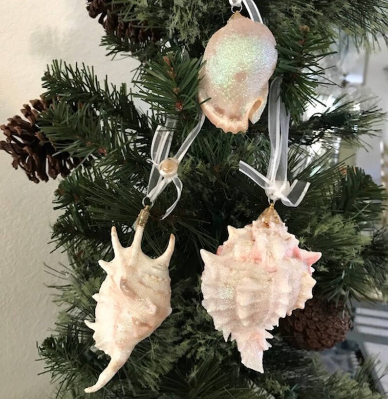 Beach Decor Christmas Seashell Ornament Set 3PC Seashell | Etsy