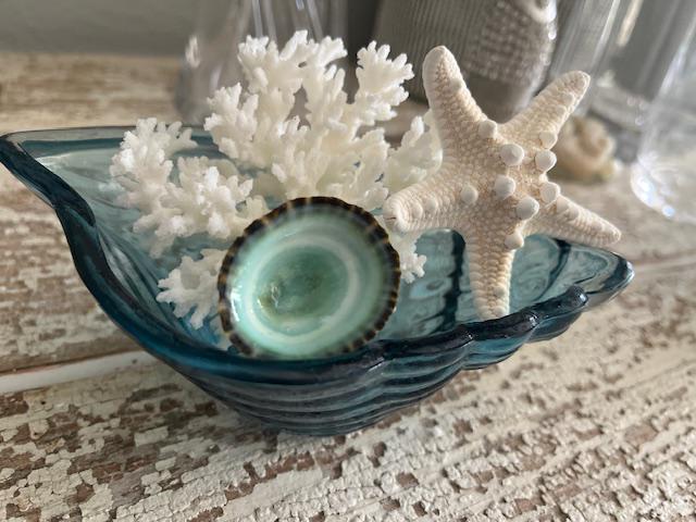 Beach Glass Conch Shell Bowl Centerpieces With Natural Seashells & Real ...