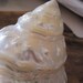 Beach Decor Wavy Top Polished Turbo Shell Turbo Shell Seashell Supply ...