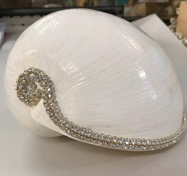 Embellished Polished White Melon Shell with Swarovski Crystals | Etsy