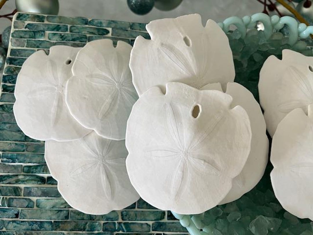 Sand Dollars - Large Arrowhead Sand Dollars (10) - Beach Decor ...