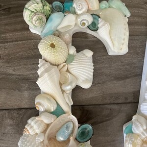 Beach Decor "family" Shell Letters - Soft Tropical Colored Shell ...