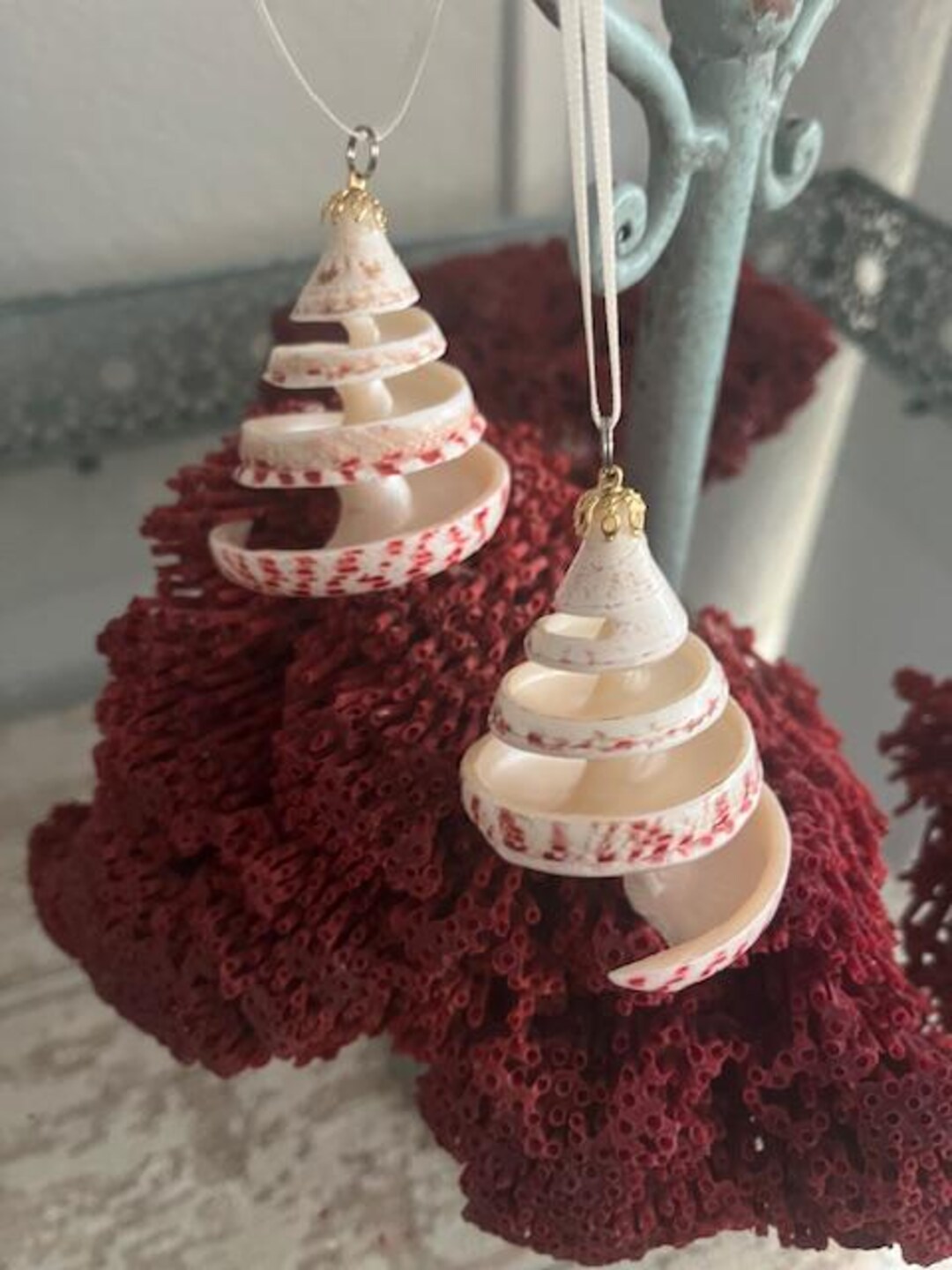 Spiral Cut Red Trocha Shell Ornaments Set/2 - Seashell Christmas ...