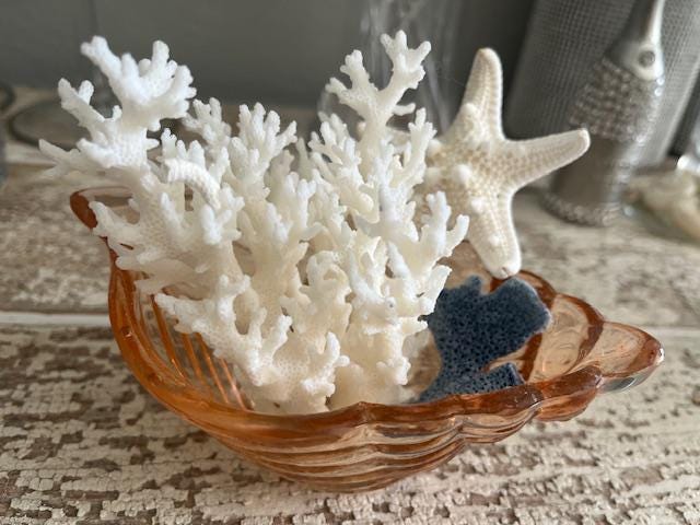 Beach Glass Conch Shell Bowl Centerpieces With Natural Seashells & Real ...