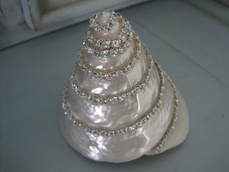 Embellished Polished Trochus Shell With Swarovski Crystals - Etsy
