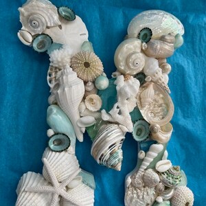 Beach Decor Seashell Letter "d" - Soft Tropical Colored Shell Letter ...