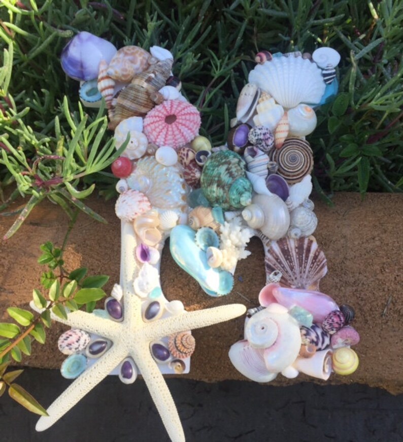 Beach Decor Shell Letter "m" - Colorful Shell Letters - Shell Initial ...