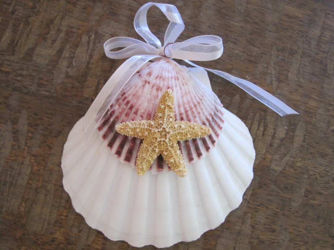 Beach Decor Irish Deep and Pectin Shell Ornament - Shell Christmas ...