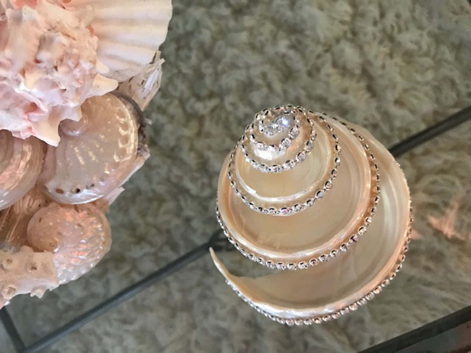 Embellished Spiral Polished Wavy Top Trochus Shell with | Etsy