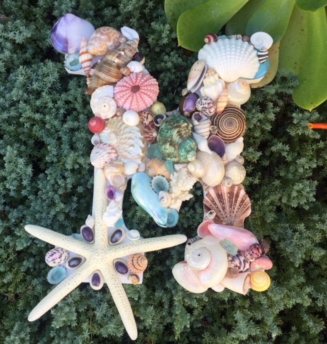 Beach Decor Shell Letter "m" - Colorful Shell Letters - Shell Initial ...