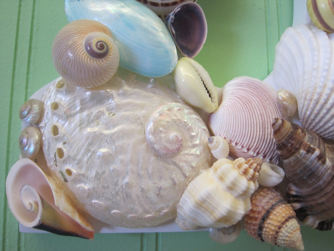 Beach Decor Shell Letter e Colorful Shell - Etsy