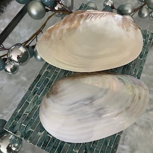 Extra Large Polished Mother of Pearl Clam Shell 9" - 10" - Beach Decor ...