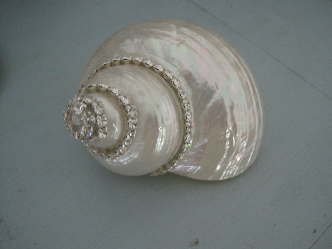 Embellished Polished Snail Shell With Swarovski Crystals Coastal Home ...