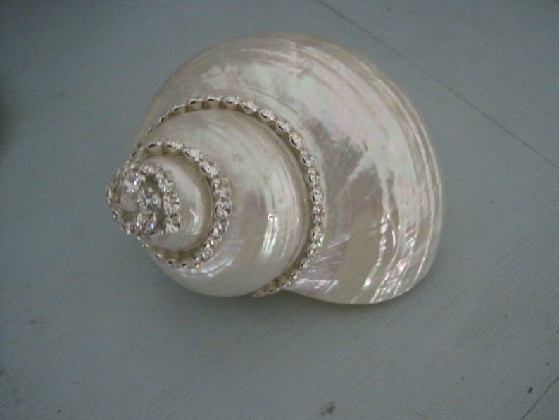 Embellished Polished Snail Shell With Swarovski Crystals - Etsy
