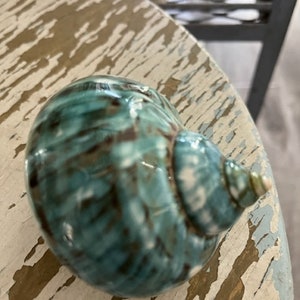 Beach Decor Turquoise Snail Shell - Turbo Snail Shell - Seashell Supply ...
