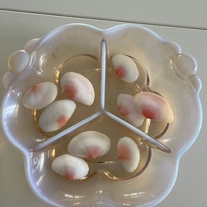 Pink Tellin Shells - (1 Cup) - Craft Shells - Beach Wedding - Nautical ...