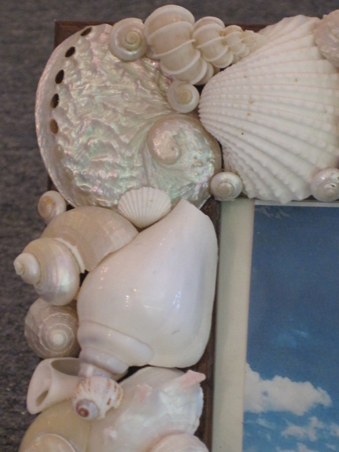 Beach Decor White Seashell Picture Frame Shell Frame White | Etsy