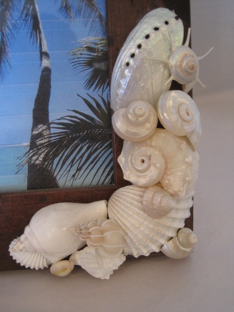 Beach Decor Seashell Picture Frame Shell Frame White Shell - Etsy