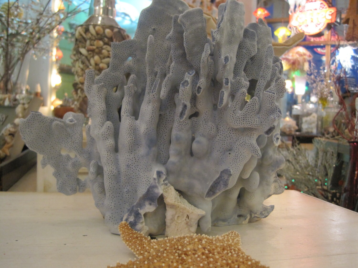 Beach Decor Blue Coral Natural Blue Coral Seashells Beach | Etsy