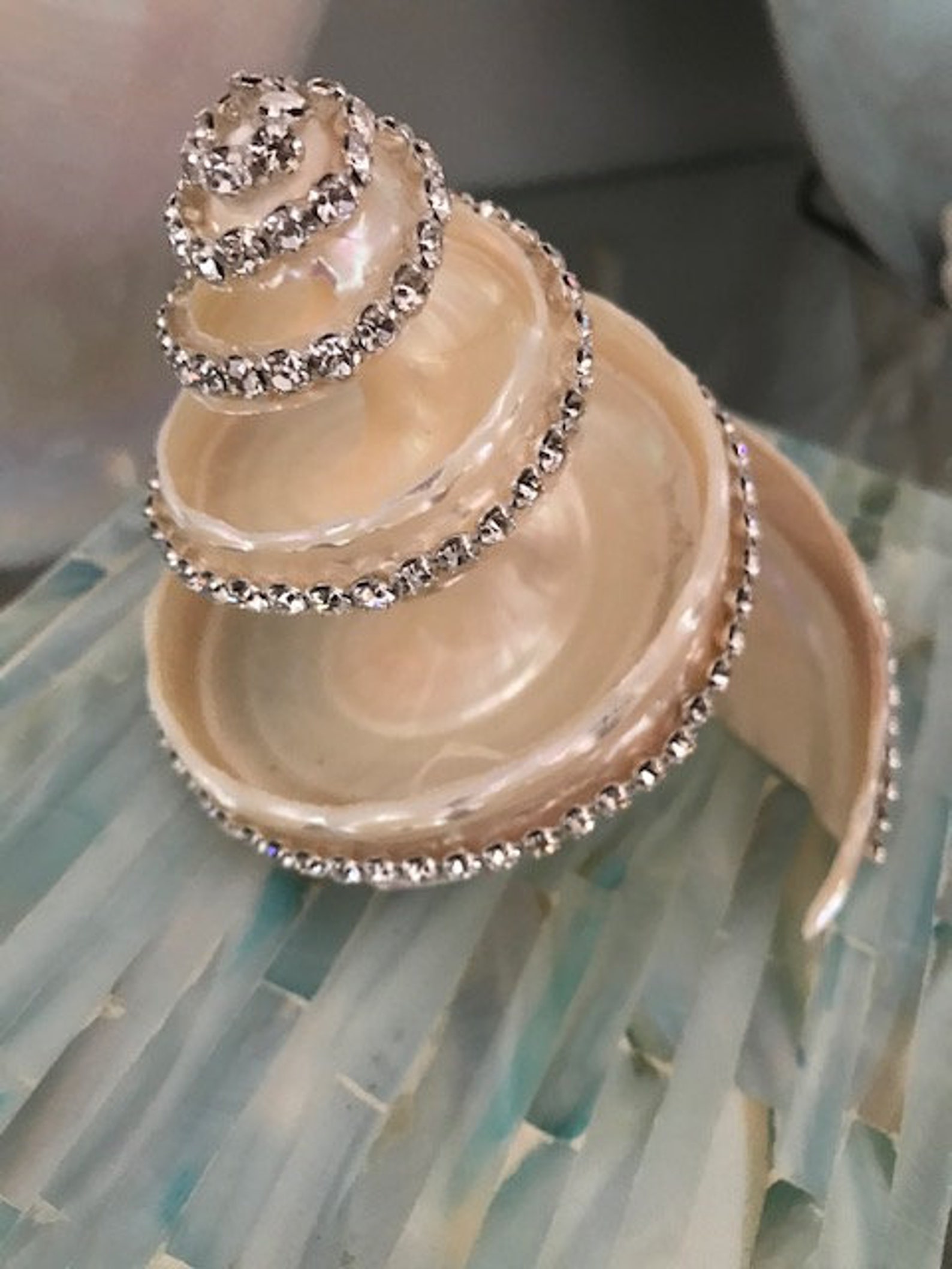 Embellished Spiral Polished Wavy Top Trochus Shell with | Etsy