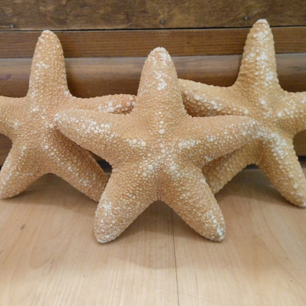Starfish Home Decor - Etsy