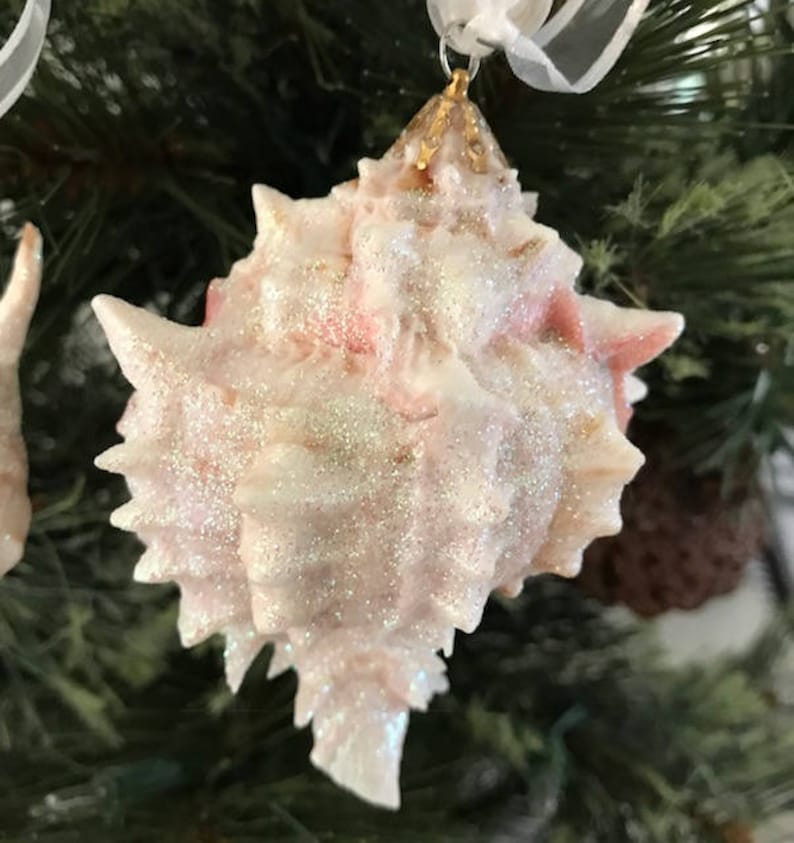 Beach Decor Christmas Seashell Ornament Set 3PC Seashell | Etsy