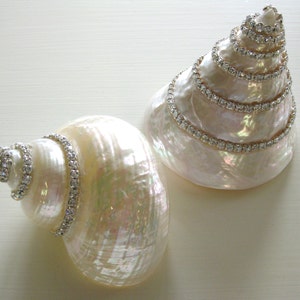 Embellished Polished Snail Shell With Swarovski Crystals - Coastal Home ...