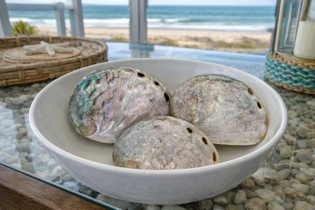 Beach Decor Silver Abalone Shells (3 Pc) - Pearlized Abalone Shells ...