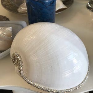 Embellished Polished White Melon Shell With Swarovski Crystals Polished ...