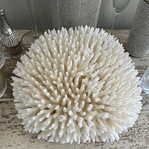 Beach Decor Table Coral - Coral - Seashells- Beach Decor - Coastal Home ...