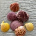 Imperfect Pectin Scallop Shells 12 PC Seashells Beach Decor Wholesale ...