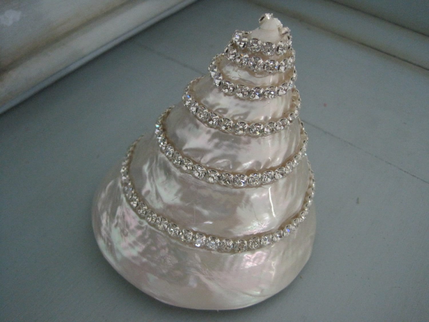 Embellished Polished Trochus Shell with Swarovski Crystals | Etsy